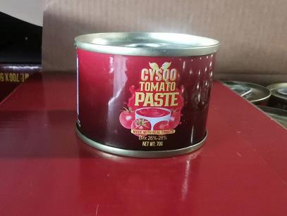 Canned Tomato Paste 70G - 我的网站